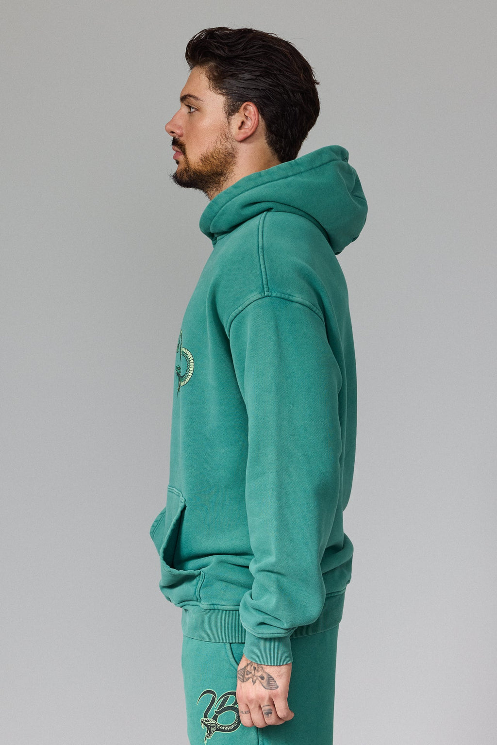 Illyrian Serpent Hoodie - Washed Green – Illyrian Bloodline